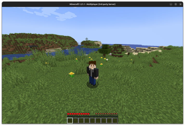 Ubuntu Tutorial: Pterodactyl Server Manager - TMVTech